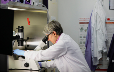 UCSD Stem Cell Program